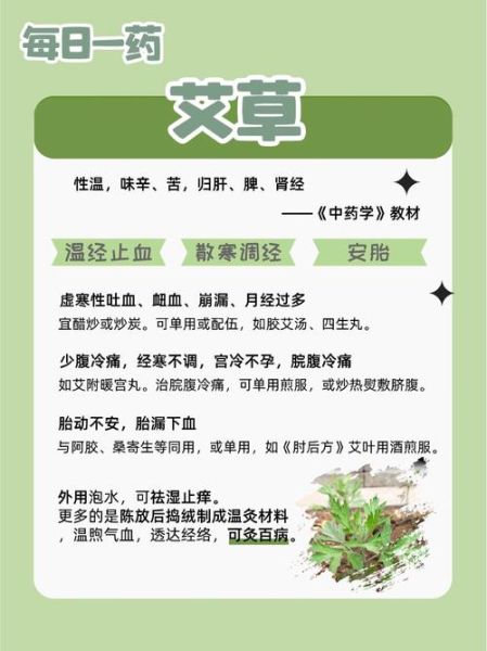 艾草能提高性功能吗_艾草壮阳是真的吗-第1张图片-山城妙识 艾草能提高性功能吗_艾草壮阳是真的吗-第1张图片-山城妙识