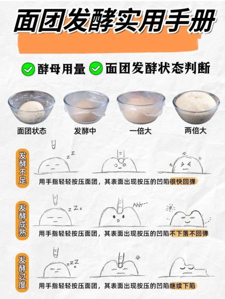 面粉发酵要多久_面粉发酵温度多少合适-第1张图片-山城妙识 面粉发酵要多久_面粉发酵温度多少合适-第1张图片-山城妙识