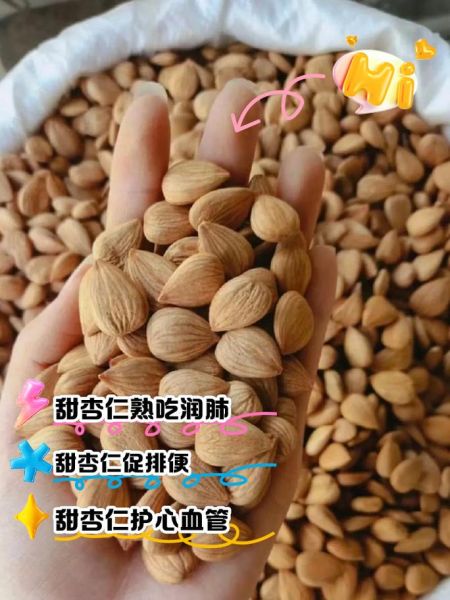 甜杏仁吃多少会中毒_甜杏仁中毒剂量是多少-第1张图片-山城妙识 甜杏仁吃多少会中毒_甜杏仁中毒剂量是多少-第1张图片-山城妙识