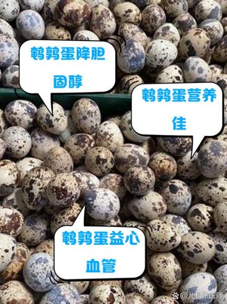 鹌鹑蛋胆固醇高吗_哪些人不能吃鹌鹑蛋-第2张图片-山城妙识 鹌鹑蛋胆固醇高吗_哪些人不能吃鹌鹑蛋-第2张图片-山城妙识