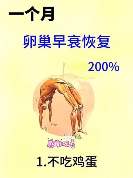 卵巢早衰奇迹恢复了_还能自然怀孕吗-第1张图片-山城妙识 卵巢早衰奇迹恢复了_还能自然怀孕吗-第1张图片-山城妙识