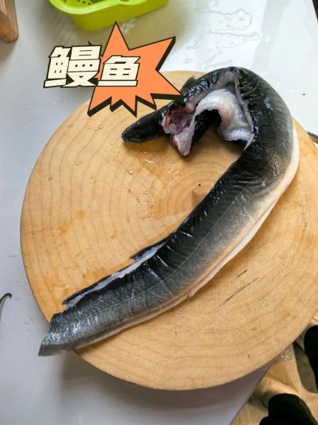 鳗鲡鱼怎么做好吃_鳗鲡鱼营养价值高吗-第1张图片-山城妙识 鳗鲡鱼怎么做好吃_鳗鲡鱼营养价值高吗-第1张图片-山城妙识