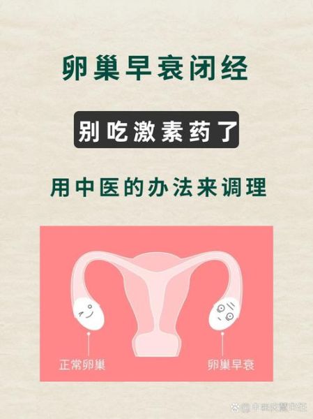 卵巢早衰奇迹恢复了_还能自然怀孕吗-第3张图片-山城妙识 卵巢早衰奇迹恢复了_还能自然怀孕吗-第3张图片-山城妙识