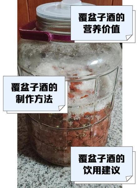 覆盆子泡酒的功效与作用_覆盆子泡酒怎么泡-第3张图片-山城妙识 覆盆子泡酒的功效与作用_覆盆子泡酒怎么泡-第3张图片-山城妙识