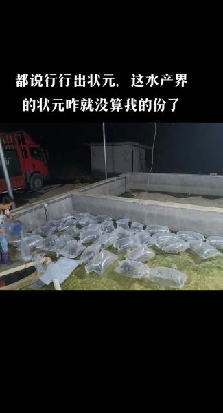 青鱼苗一年能长多大_青鱼苗一年能长多少斤-第3张图片-山城妙识 青鱼苗一年能长多大_青鱼苗一年能长多少斤-第3张图片-山城妙识