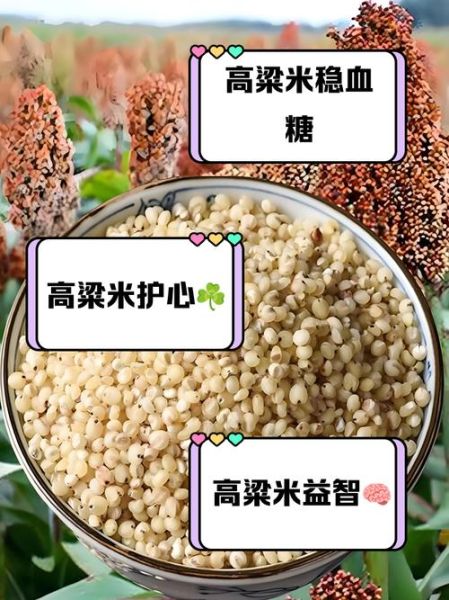 高粱粟米图片_如何区分高粱与粟米-第2张图片-山城妙识 高粱粟米图片_如何区分高粱与粟米-第2张图片-山城妙识