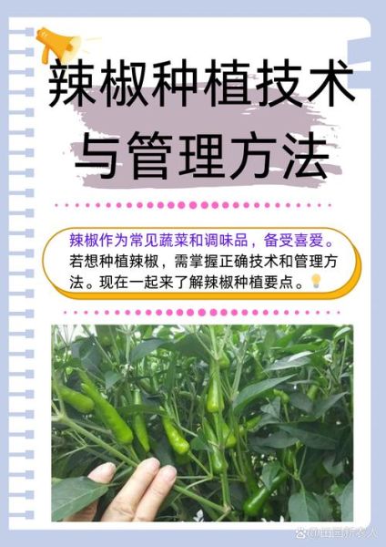 辣椒什么时候种最合适_辣椒种植方法步骤-第1张图片-山城妙识 辣椒什么时候种最合适_辣椒种植方法步骤-第1张图片-山城妙识