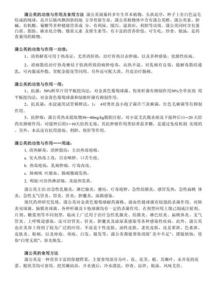 蒲公英有什么功效_蒲公英能治什么病-第3张图片-山城妙识 蒲公英有什么功效_蒲公英能治什么病-第3张图片-山城妙识