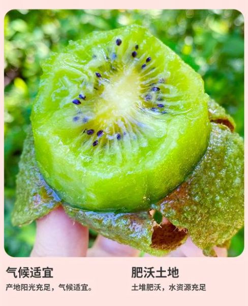 猕猴桃降血糖吗_糖尿病人能吃猕猴桃吗-第1张图片-山城妙识