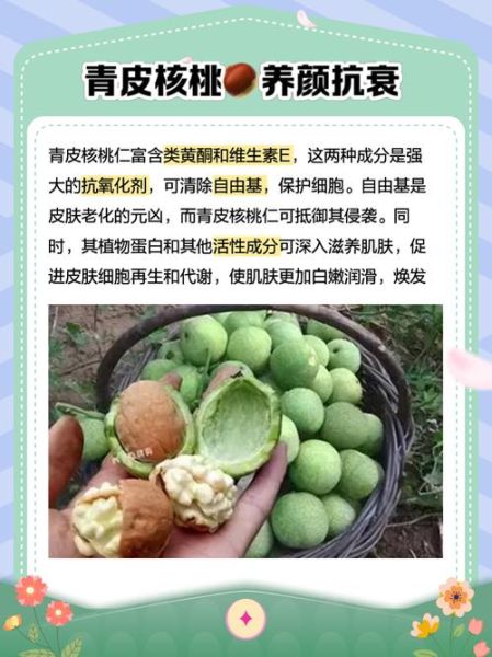 青皮核桃的功效与作用_青皮核桃的禁忌有哪些-第1张图片-山城妙识 青皮核桃的功效与作用_青皮核桃的禁忌有哪些-第1张图片-山城妙识