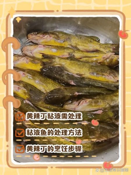 黄辣丁粘液要不要洗掉_怎么清洗才干净-第2张图片-山城妙识 黄辣丁粘液要不要洗掉_怎么清洗才干净-第2张图片-山城妙识