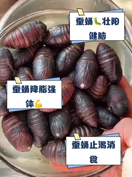蚕蛹是什么_蚕蛹能吃吗-第2张图片-山城妙识 蚕蛹是什么_蚕蛹能吃吗-第2张图片-山城妙识