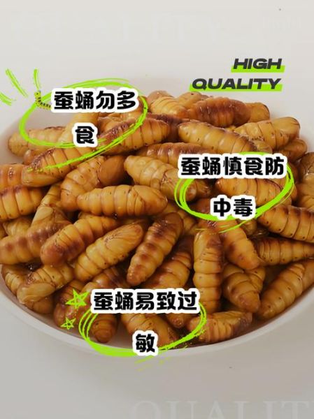 蚕蛹是什么_蚕蛹能吃吗-第1张图片-山城妙识 蚕蛹是什么_蚕蛹能吃吗-第1张图片-山城妙识