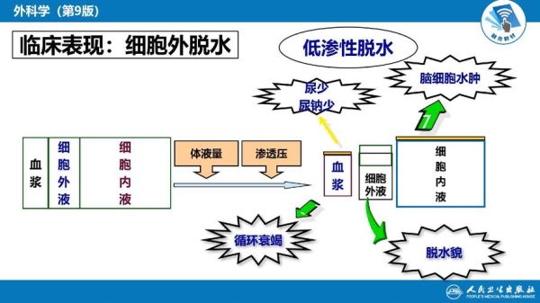 高渗性脱水是什么_高渗性脱水名词解释-第1张图片-山城妙识 高渗性脱水是什么_高渗性脱水名词解释-第1张图片-山城妙识