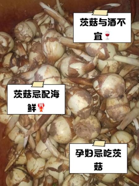 茨菇怎么吃化肿瘤_茨菇抗肿瘤吃法大全-第3张图片-山城妙识 茨菇怎么吃化肿瘤_茨菇抗肿瘤吃法大全-第3张图片-山城妙识