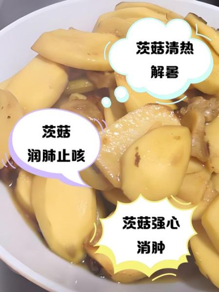 茨菇怎么吃化肿瘤_茨菇抗肿瘤吃法大全-第2张图片-山城妙识 茨菇怎么吃化肿瘤_茨菇抗肿瘤吃法大全-第2张图片-山城妙识