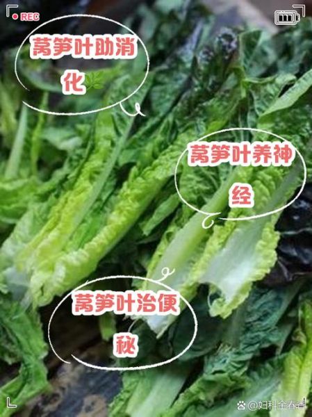 莴笋叶子能吃吗_莴笋叶子的功效与作用-第1张图片-山城妙识 莴笋叶子能吃吗_莴笋叶子的功效与作用-第1张图片-山城妙识