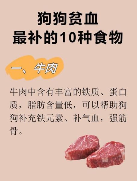 贫血吃什么好_贫血吃什么补血最快-第1张图片-山城妙识 贫血吃什么好_贫血吃什么补血最快-第1张图片-山城妙识