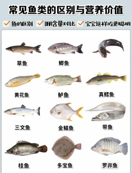 罗非鱼是海鱼还是河鱼_罗非鱼适合淡水还是海水养殖-第1张图片-山城妙识 罗非鱼是海鱼还是河鱼_罗非鱼适合淡水还是海水养殖-第1张图片-山城妙识