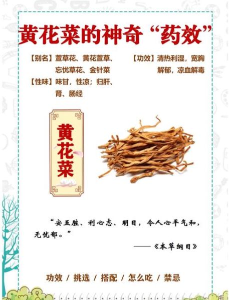 黄花菜不能和什么一起吃_黄花菜相克食物有哪些-第3张图片-山城妙识