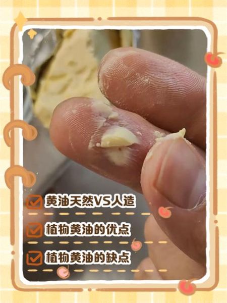 黄油是什么油_黄油和植物油的区别-第2张图片-山城妙识 黄油是什么油_黄油和植物油的区别-第2张图片-山城妙识