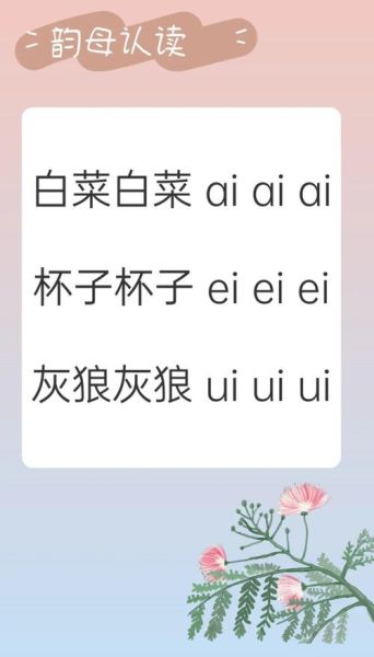 白菜的拼音怎么拼写_白菜拼音声调怎么读-第2张图片-山城妙识 白菜的拼音怎么拼写_白菜拼音声调怎么读-第2张图片-山城妙识
