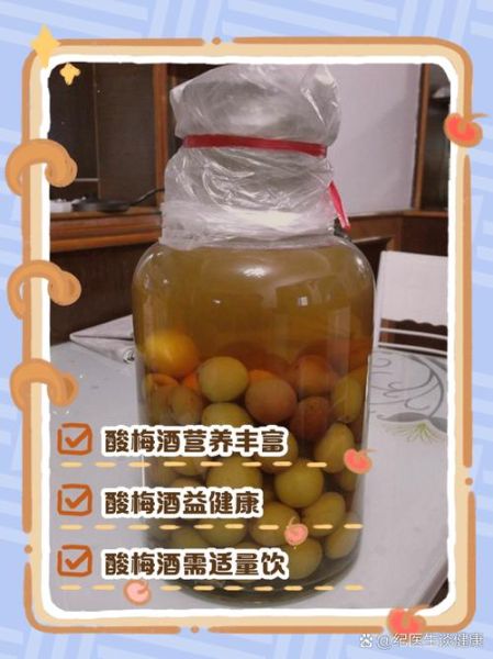 酸梅酒的功效与作用_酸梅酒适合什么人喝-第1张图片-山城妙识 酸梅酒的功效与作用_酸梅酒适合什么人喝-第1张图片-山城妙识