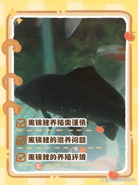 黑鱼养殖失败原因_黑鱼养殖常见错误-第2张图片-山城妙识 黑鱼养殖失败原因_黑鱼养殖常见错误-第2张图片-山城妙识
