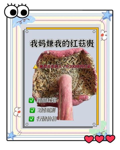 真红菇和假红菇的区别_如何辨别真假红菇-第1张图片-山城妙识 真红菇和假红菇的区别_如何辨别真假红菇-第1张图片-山城妙识