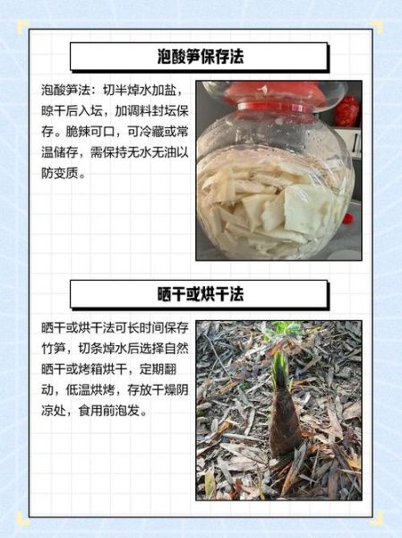 鲜笋怎么保存_鲜笋保存多久-第2张图片-山城妙识 鲜笋怎么保存_鲜笋保存多久-第2张图片-山城妙识