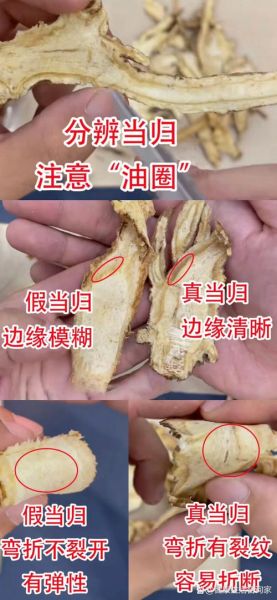 野生当归长什么样_如何辨别真假野生当归-第1张图片-山城妙识 野生当归长什么样_如何辨别真假野生当归-第1张图片-山城妙识