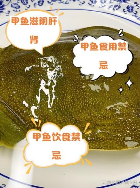 甲鱼不能和什么一起吃_孕妇吃甲鱼禁忌-第3张图片-山城妙识 甲鱼不能和什么一起吃_孕妇吃甲鱼禁忌-第3张图片-山城妙识