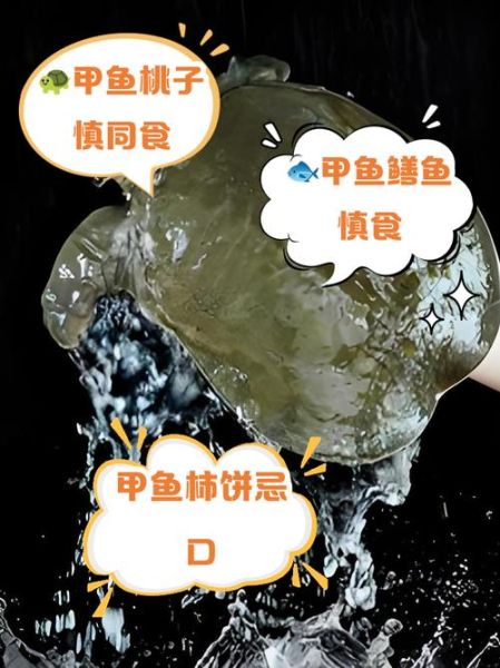 甲鱼不能和什么一起吃_孕妇吃甲鱼禁忌-第2张图片-山城妙识 甲鱼不能和什么一起吃_孕妇吃甲鱼禁忌-第2张图片-山城妙识