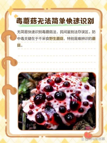 去山上捡蘑菇的诀窍_如何分辨毒蘑菇-第2张图片-山城妙识 去山上捡蘑菇的诀窍_如何分辨毒蘑菇-第2张图片-山城妙识