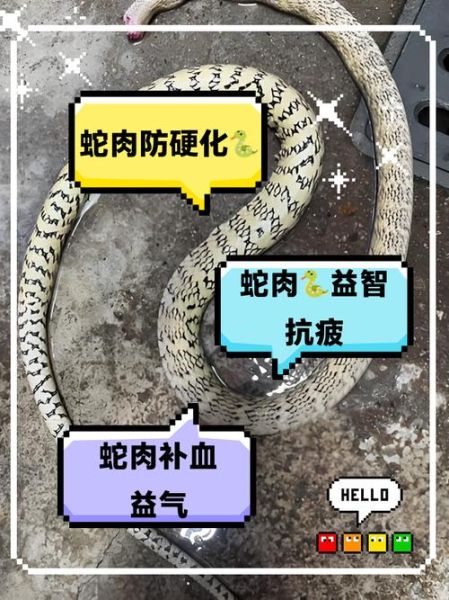 蛇肉不能和什么一起吃_哪些人不能吃蛇肉-第3张图片-山城妙识 蛇肉不能和什么一起吃_哪些人不能吃蛇肉-第3张图片-山城妙识
