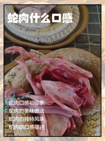 蛇肉怎么做好吃_蛇肉做法视频教程-第2张图片-山城妙识 蛇肉怎么做好吃_蛇肉做法视频教程-第2张图片-山城妙识
