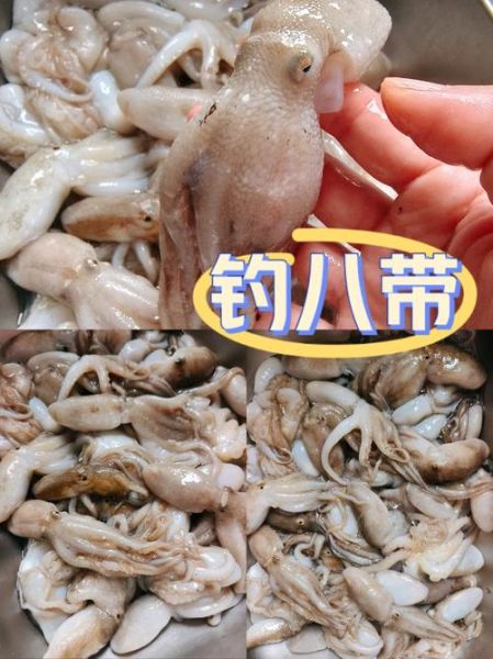 八带鱼怎么处理干净_八带鱼清洗内脏步骤-第2张图片-山城妙识 八带鱼怎么处理干净_八带鱼清洗内脏步骤-第2张图片-山城妙识
