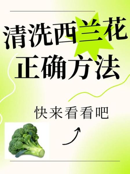 西兰花怎么清洗才干净_西兰花清洗的正确方法-第1张图片-山城妙识 西兰花怎么清洗才干净_西兰花清洗的正确方法-第1张图片-山城妙识
