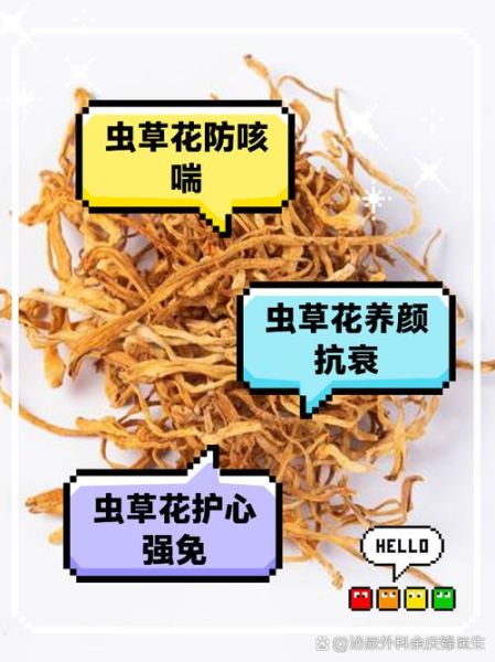虫草鸡桃是什么_虫草鸡桃的功效与作用-第2张图片-山城妙识 虫草鸡桃是什么_虫草鸡桃的功效与作用-第2张图片-山城妙识
