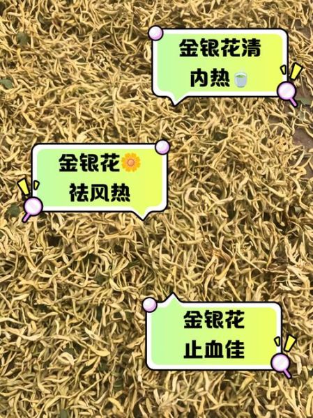 金银花泡水喝的副作用_金银花有没有毒性-第1张图片-山城妙识 金银花泡水喝的副作用_金银花有没有毒性-第1张图片-山城妙识