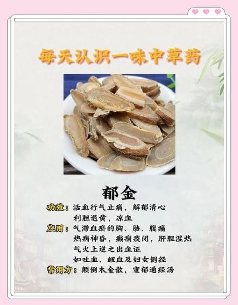 郁金的功效与作用_郁金禁忌有哪些-第1张图片-山城妙识 郁金的功效与作用_郁金禁忌有哪些-第1张图片-山城妙识