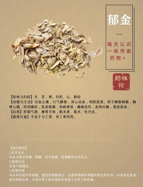 郁金的功效与作用_郁金禁忌有哪些-第3张图片-山城妙识 郁金的功效与作用_郁金禁忌有哪些-第3张图片-山城妙识