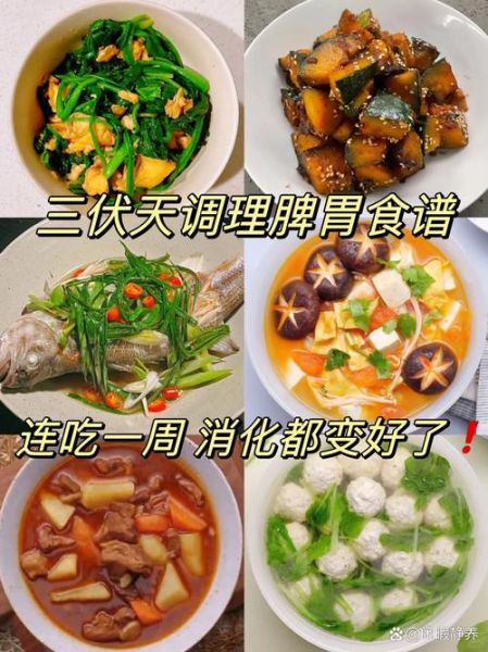 吃什么最养胃修复胃_胃不好一日三餐怎么吃-第1张图片-山城妙识 吃什么最养胃修复胃_胃不好一日三餐怎么吃-第1张图片-山城妙识