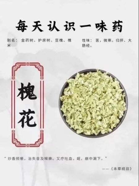 长期服用槐花有副作用吗_槐花长期吃安全吗-第1张图片-山城妙识