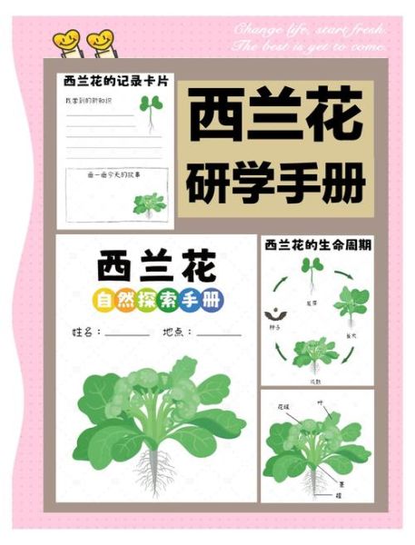 西兰花怎么种_西兰花种植时间和方法-第1张图片-山城妙识 西兰花怎么种_西兰花种植时间和方法-第1张图片-山城妙识