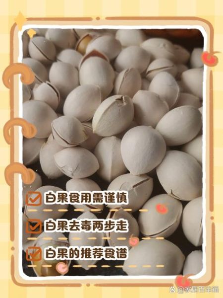 白果致癌是真的吗_白果毒性真相-第3张图片-山城妙识 白果致癌是真的吗_白果毒性真相-第3张图片-山城妙识