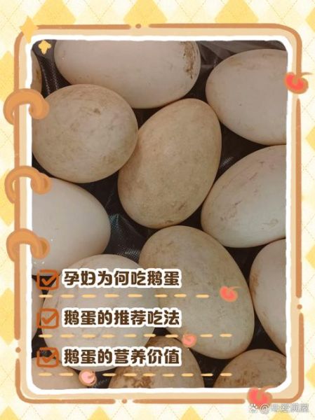 鹅蛋怎么吃去胎毒_孕妇吃鹅蛋去胎毒的正确方法-第2张图片-山城妙识 鹅蛋怎么吃去胎毒_孕妇吃鹅蛋去胎毒的正确方法-第2张图片-山城妙识