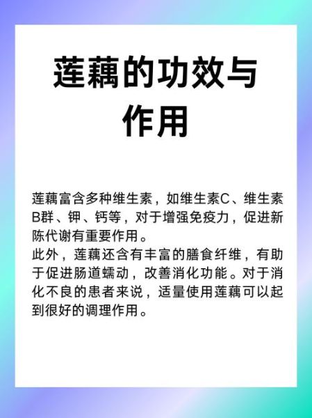 莲藕的功效与作用禁忌_什么人不能吃莲藕-第2张图片-山城妙识 莲藕的功效与作用禁忌_什么人不能吃莲藕-第2张图片-山城妙识