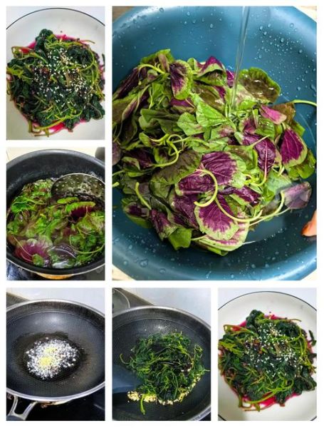 苋菜怎么择_苋菜择菜技巧-第2张图片-山城妙识 苋菜怎么择_苋菜择菜技巧-第2张图片-山城妙识