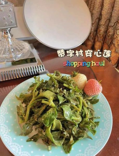 穿心莲怎么拌好吃_穿心莲凉拌做法大全-第2张图片-山城妙识